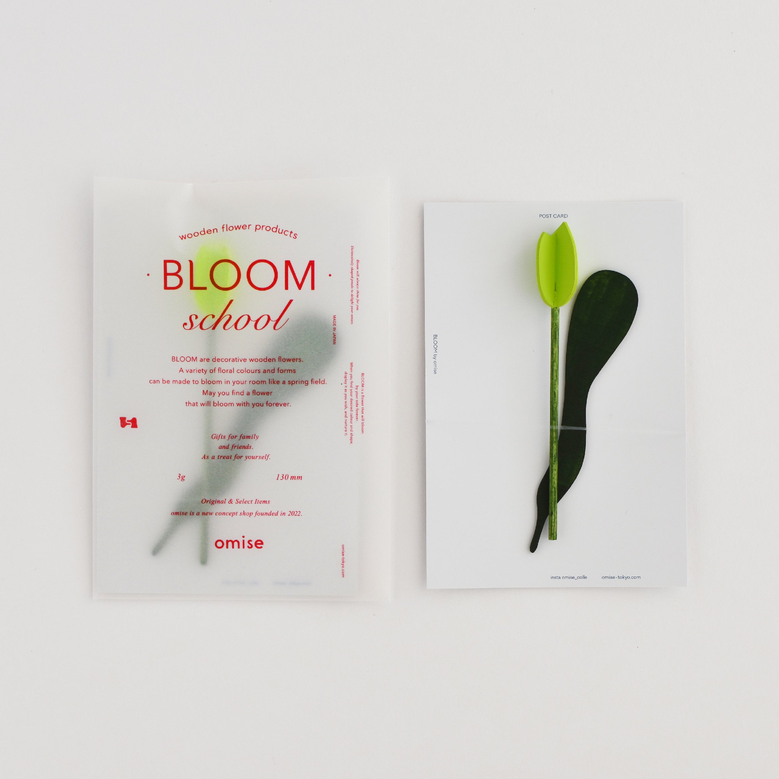 BLOOM school LIGHT GREEN – published by colle